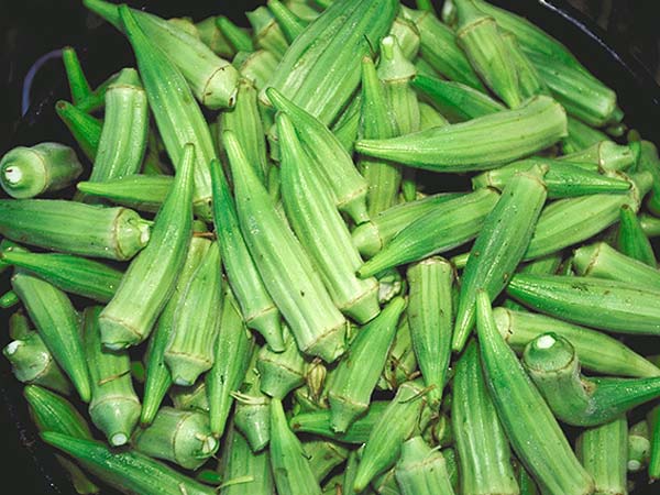 Bhindi + Water= No Diabetes & Cholesterol? - Boldsky.com