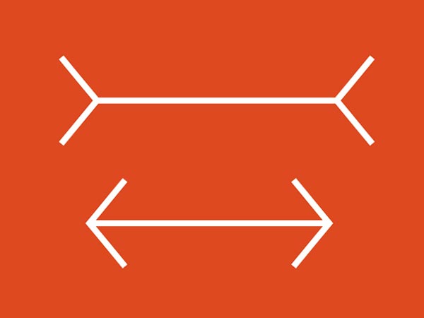 Optical Illusions To Confuse Your Brain - Boldsky.com