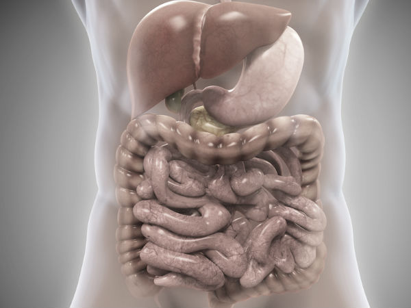 A Mixture To Cleanse Your Colon - Boldsky.com