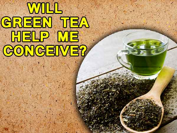 Will Green Tea Help Me Conceive? - Boldsky.com
