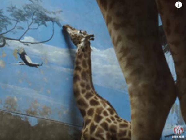 Photos That Will Make You Cry - Boldsky.com