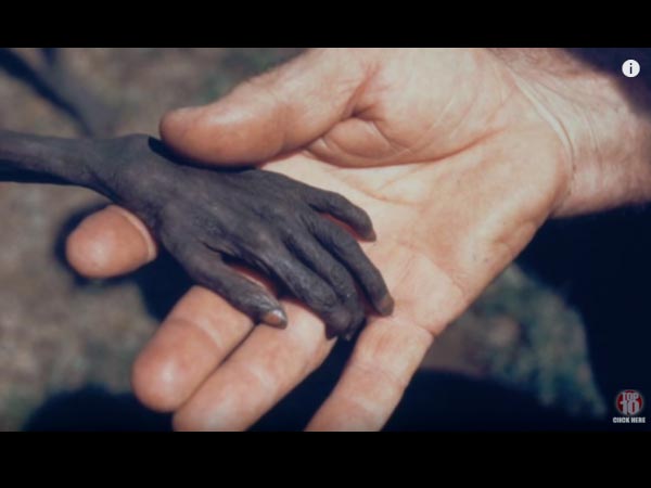 Photos That Will Make You Cry - Boldsky.com