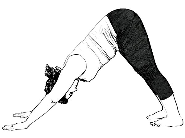 Camatkarasana (Wild Thing Pose) To Improve Blood Circulation - Boldsky.com