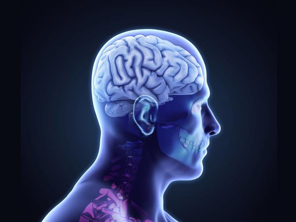 Benefits Of Eating Almonds For The Brain - Boldsky.com