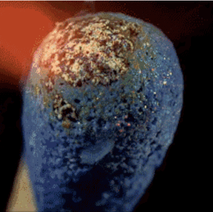 Cool Science Experiments Gif