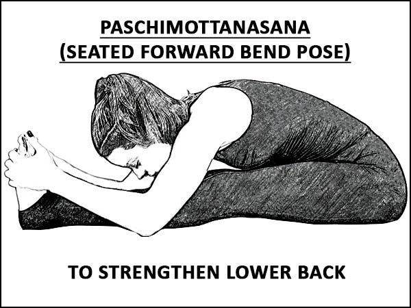 Paschimottanasana (Seated Forward Bend Pose) To Strengthen Lower Back ...