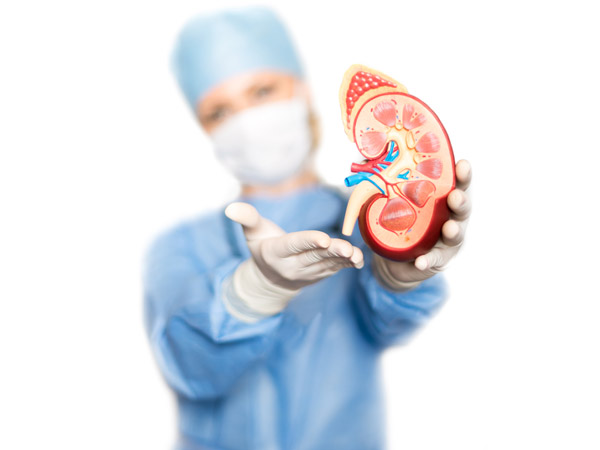 Damaged Kidneys Mean Your Entire Health Is At Risk: Dial A Doctor If ...