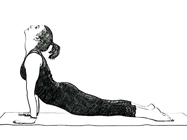 Upward Dog Drawing