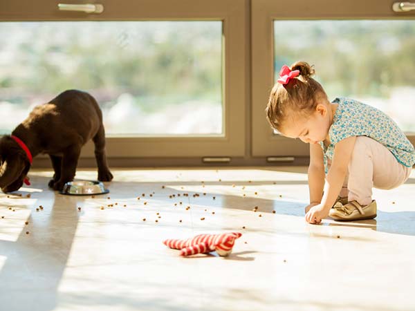 Do Not Eat Food That Has Fallen Down! - Boldsky.com