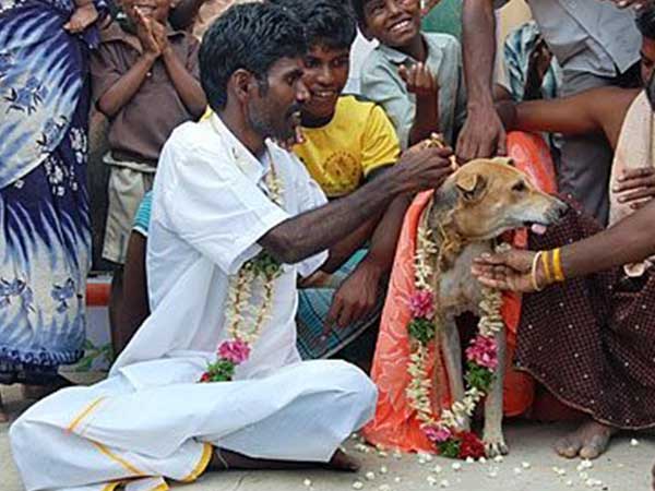 Unusual Indian Wedding Pictures! - Boldsky.com