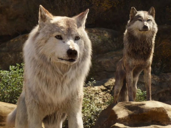 Meet The Real-life 'Wolfman' - Boldsky.com