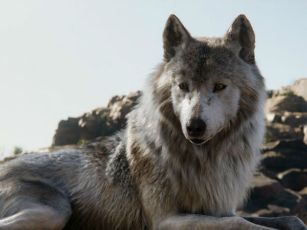 Meet The Real-life 'Wolfman' - Boldsky.com