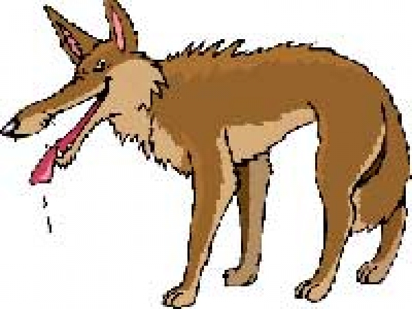 Meet The Real-life 'Wolfman' - Boldsky.com