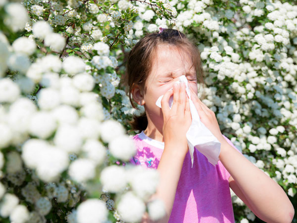 Healing Powers Of Garlic Milk - Boldsky.com