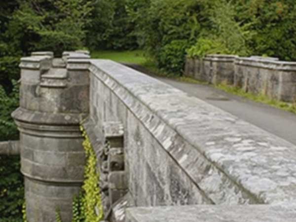 Have You Heard About Dog's Suicide Bridge? - Boldsky.com