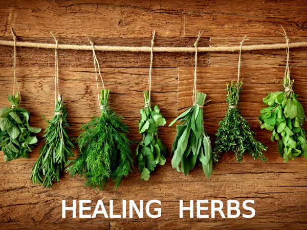 10 Herbs That Heal 10 Health Issues - Boldsky.com