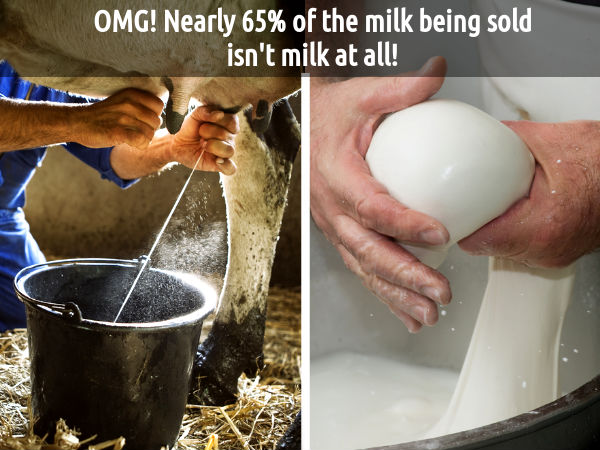Milk Contamination: After Reading This, You Won't Buy Milk From ...