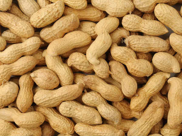 Why Snacking On Peanuts Is Healthy? - Boldsky.com