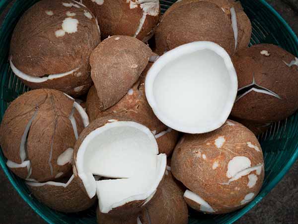 8 Health Benefits Of Dry Coconut - Boldsky.com