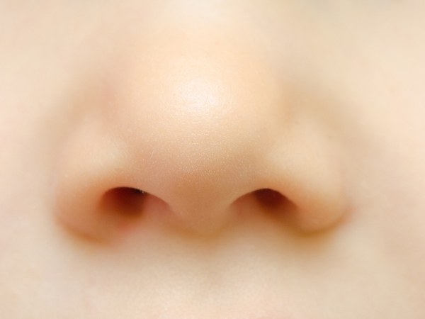 How Does The Shape Of Your Nose Define Your Personality? - Boldsky.com