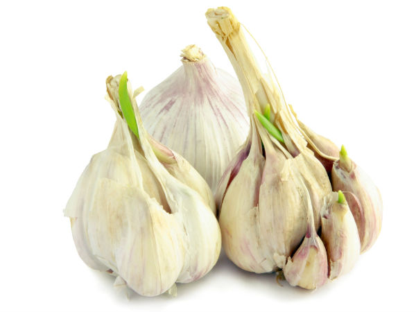 Is Sprouted Garlic Safe To Eat? - Boldsky.com