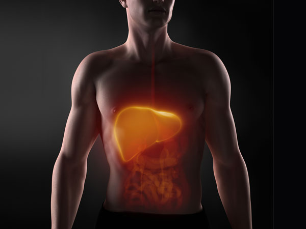 What Causes Pain In The Liver? - Boldsky.com