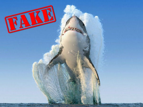 These Viral Pictures Were Nothing But Fake! - Boldsky.com