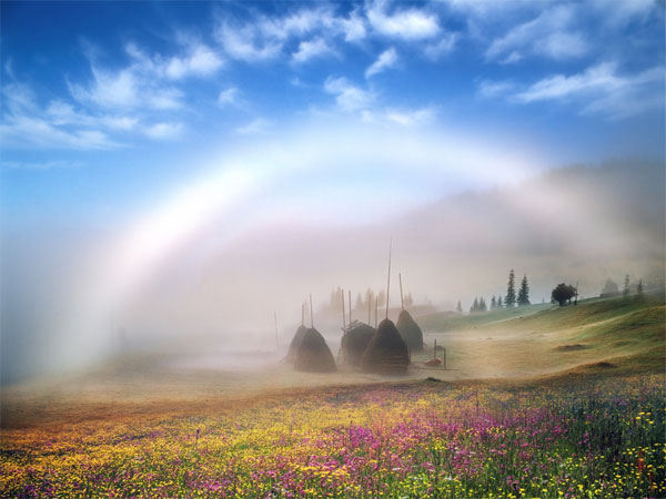 Amazing Beautiful Things That Exist On Earth - Boldsky.com