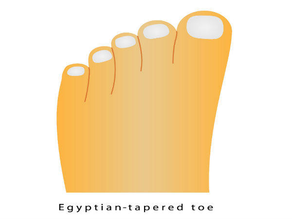 What Exactly Does The Shape Of Your Toes Reveal - Boldsky.com