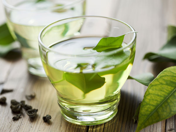 What Happens To Your Body When You Drink Avocado Leaf Tea? - Boldsky.com