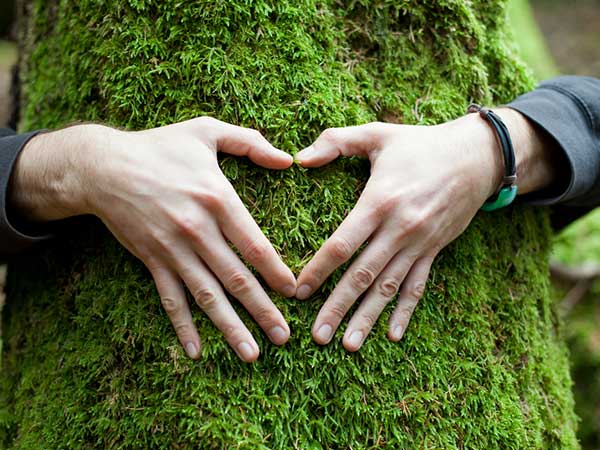 What Is Green Therapy - Boldsky.com