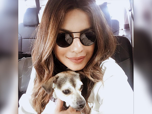 8 Times PeeCee Taught You About The Latest Trends In Sunglasses ...