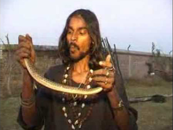 Man Eating Super Snake