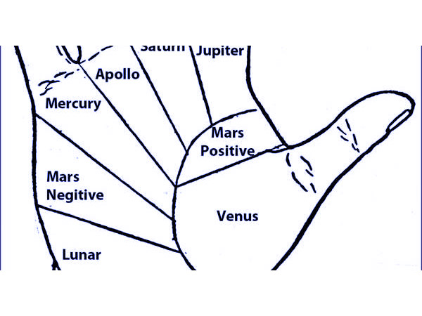 These Signs On The Palm Can Make You The Most Powerful Person - Boldsky.com