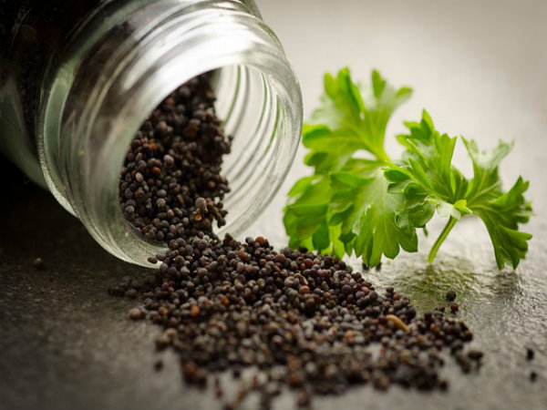 15 Top Benefits Of Khus Khus (Poppy Seeds) That Will Shock You ...