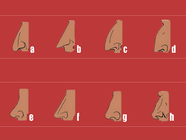 Retrousse Nose Profile Clipart