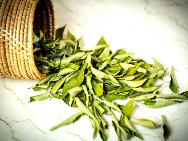 How To Use Curry Leaves For Hair Growth Boldsky How To Use Curry Leaves For Hair Growth Boldsky