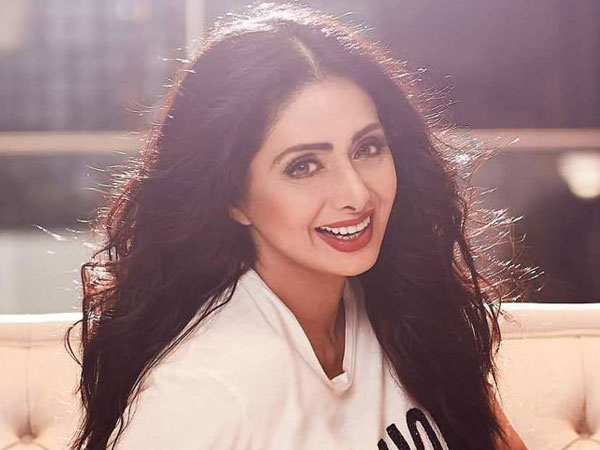 Happy Birthday Sridevi: The Shy Style Diva With Bold Outfits - Boldsky.com