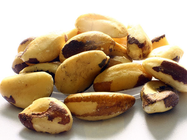 Brazil Nuts Nutrition Facts and Health Benefits - Boldsky.com