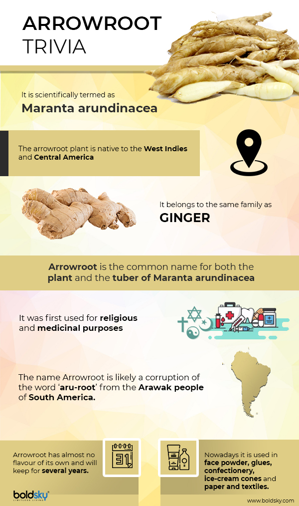 17 Effective Benefits Of Arrowroot For Health, Hair And Skin - Boldsky.com
