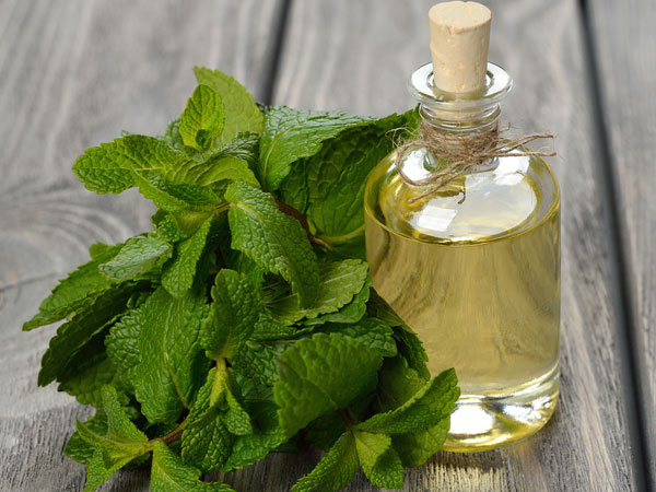 22 Fascinating Benefits Of Peppermint Oil For Health, Hair & Skin ...