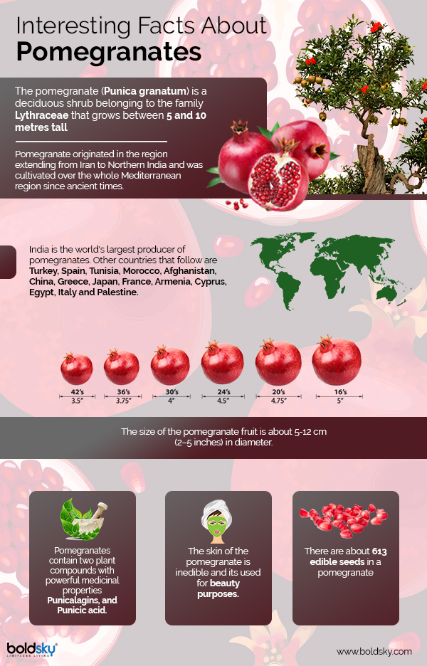 14 Health Benefits Of Pomegranates For Skin Hair And Health