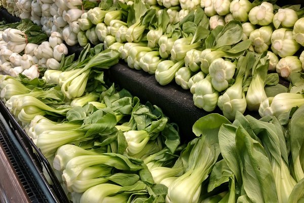 Bok Choy (Chinese Cabbage): Nutrition, Benefits & Recipes - Boldsky.com