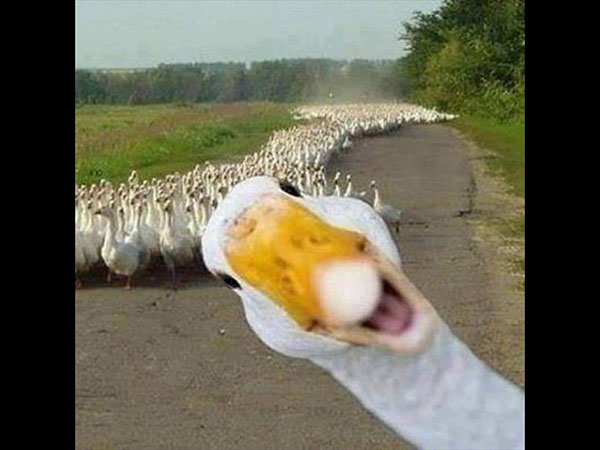 12 MOST Embarrassing Moments Caught On Camera - Boldsky.com