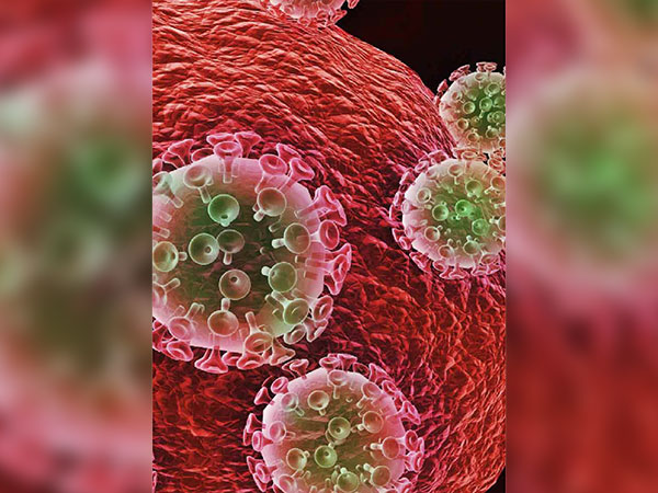 HAART (Highly Active Antiretroviral Therapy) For Treating HIV - Boldsky.com