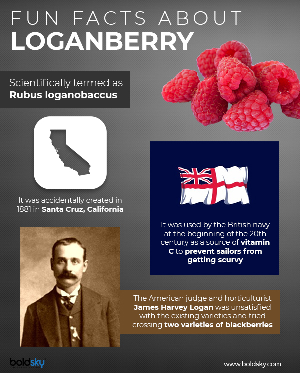 13 Incredible Health Benefits Of Loganberry - Boldsky.com
