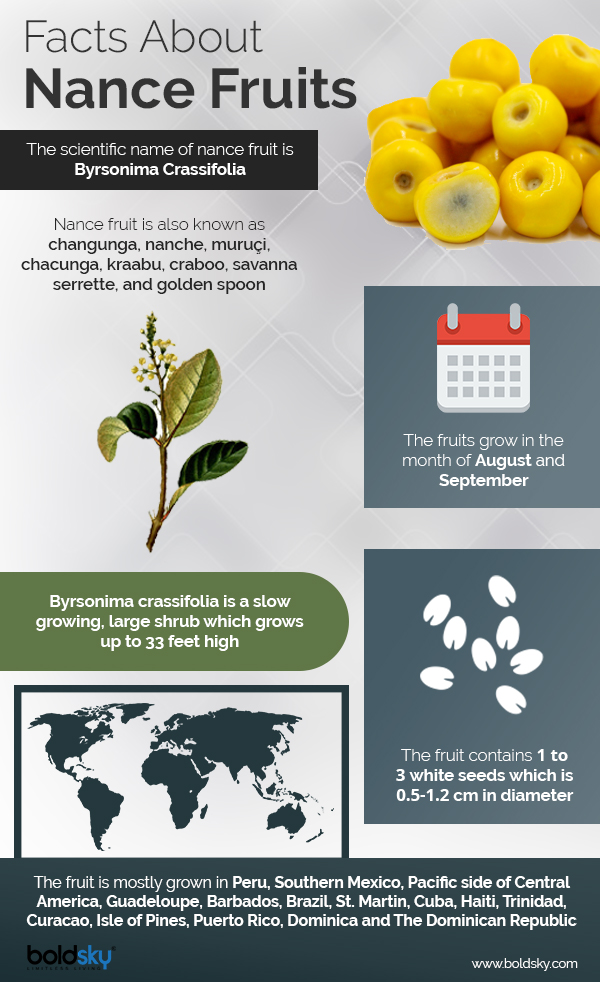 8 Surprising Health Benefits Of Nance Fruits - Boldsky.com
