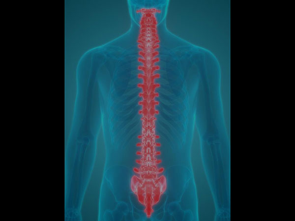 Disc Desiccation – Causes, Symptoms, Diagnosis & Treatment - Boldsky.com