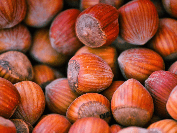 10 Health Benefits Of Hazelnuts For Skin, Hair & Health - Boldsky.com