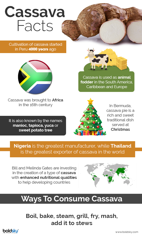 10 Nutritional Health Benefits Of Cassava, Recipes And Side Effects ...